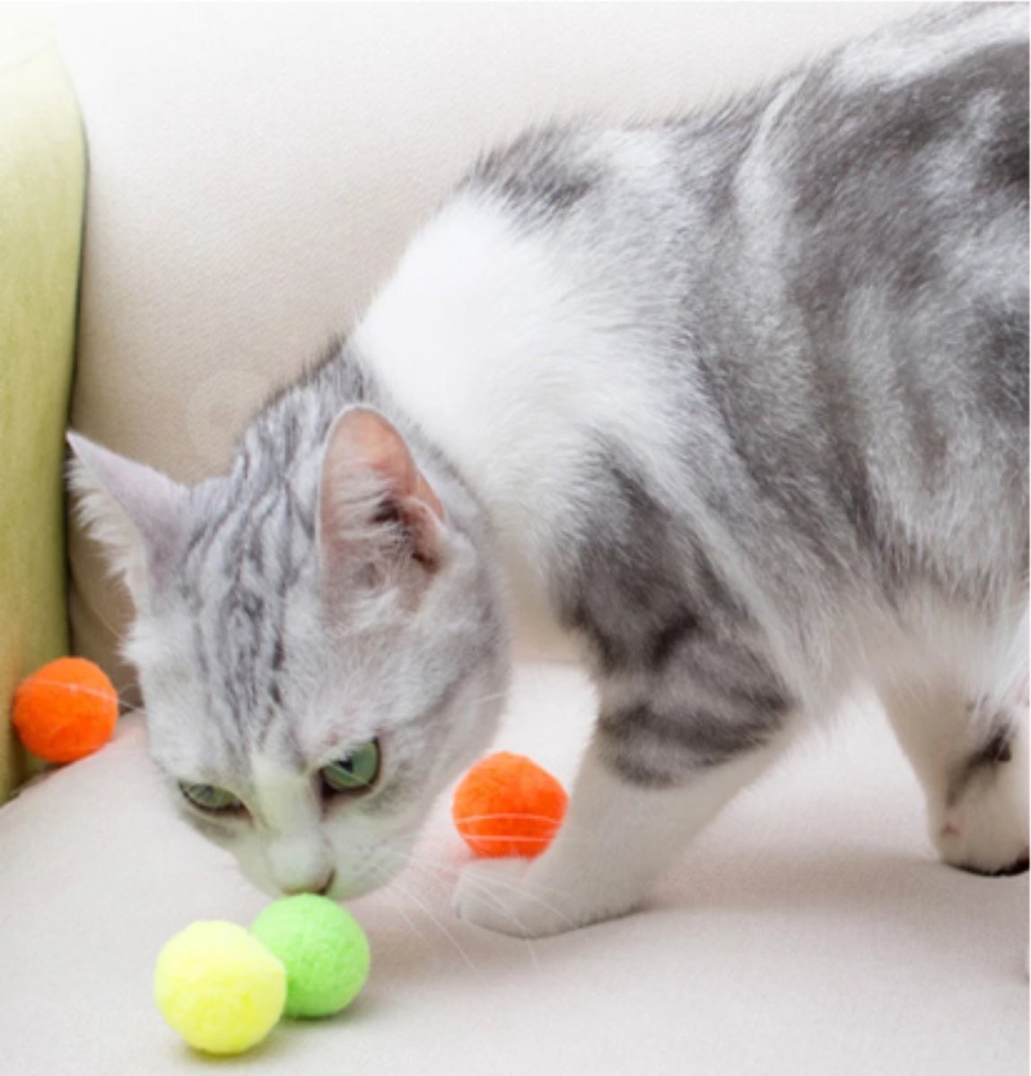 kattenspeelgoed - kattenspeeltjes - pluche gekleurde balletjes - Kat ...