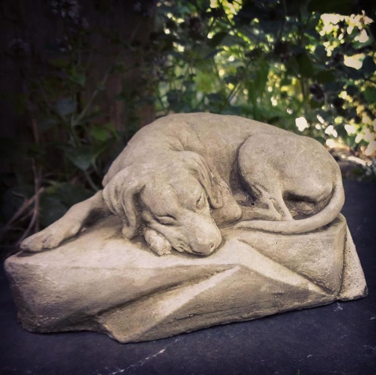 Betonnen tuinbeeld - slapende hond - gedenksteen | bol.com