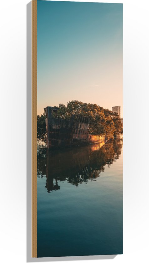WallClassics - Hout - Begroeid Scheepswrak in het Water - 30x90 cm - 12 ...