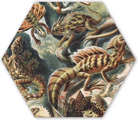 Hexagon wanddecoratie - Kunststof Wanddecoratie - Hexagon Schilderij ...