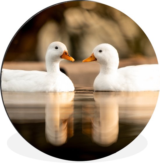WallCircle - Wandcirkel - Muurcirkel - Eend - Wit - Dieren - Water ...