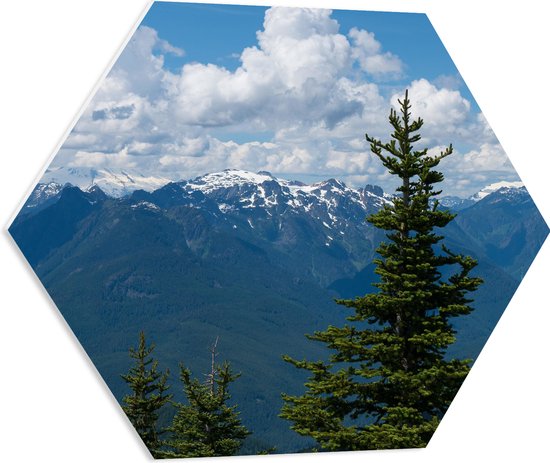 WallClassics - PVC Schuimplaat Hexagon - Uitzicht van Bomen en Bergen ...