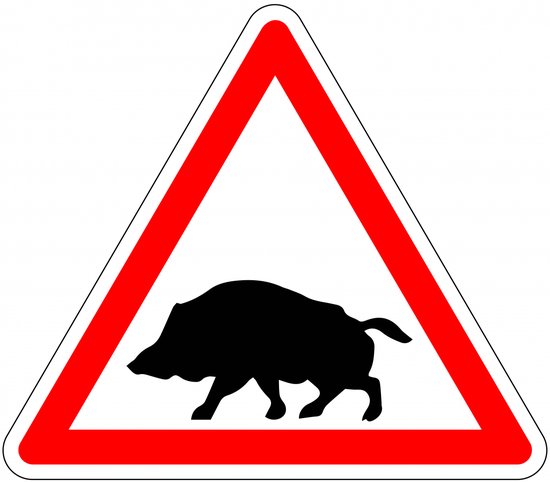 Pas op everzwijnen sticker 50 mm - 10 stuks per kaart | bol