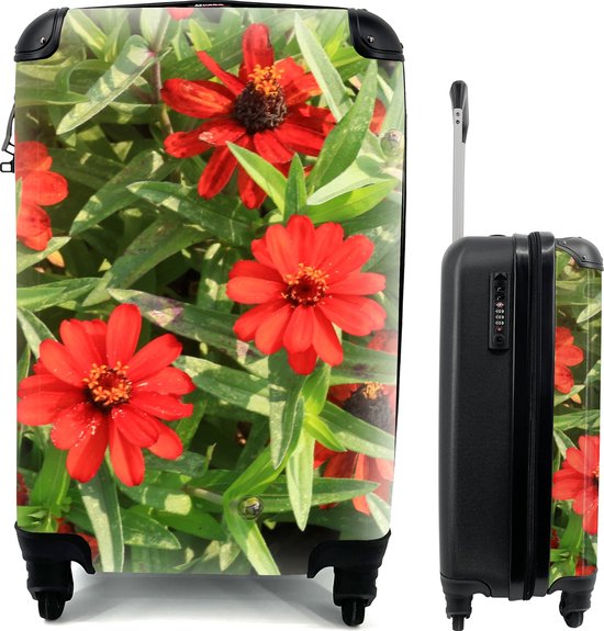 MuchoWow® Koffer - Rode zinnia bloemen tijdens een zonnige middag ...