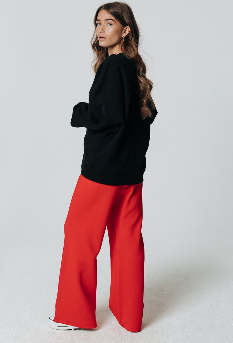 Colourful Rebel Jiby Uni Pintuck Straight Pants - XS | bol