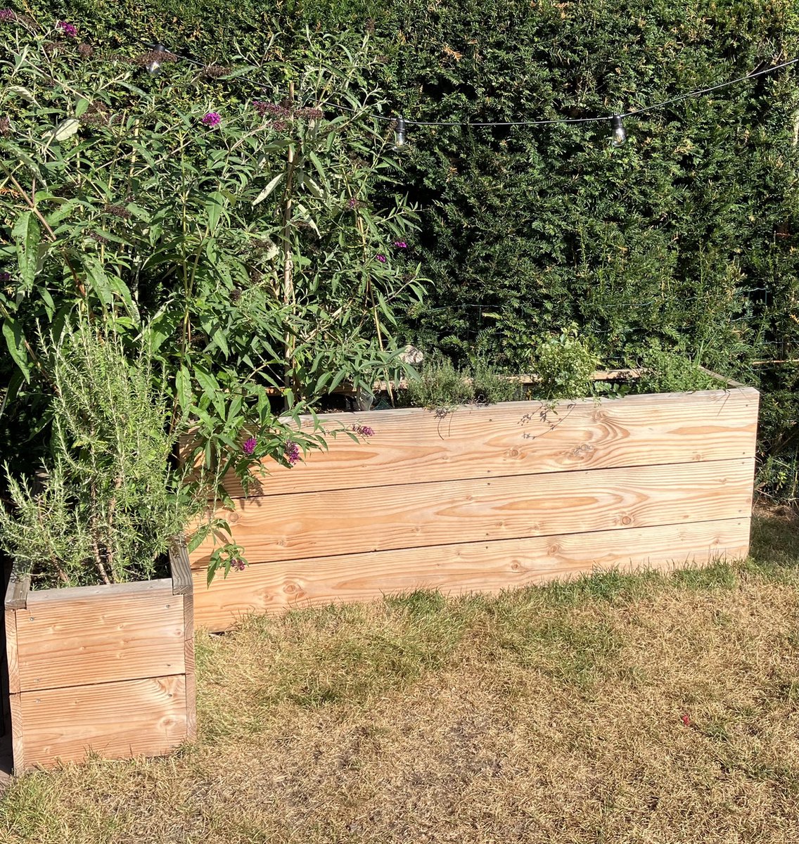 Borderbak hout - tuinborder - 40x40x20 cm - borderrand - houten ...