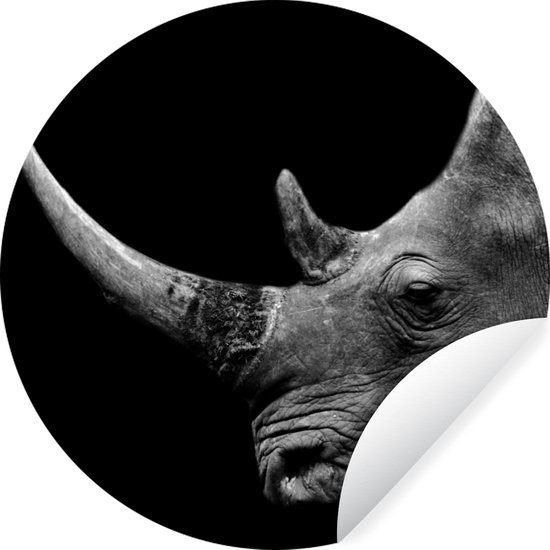 WallCircle - Behangcirkel - Zelfklevend behang - Wilde dieren - Neushoorn - Natuur -... | bol