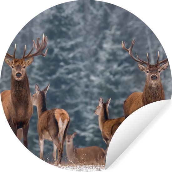 Behangcirkel - Zelfklevend behang - Hert - Winter - Natuur ...