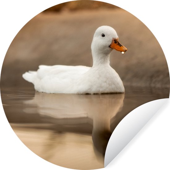 Behangcirkel - Eend - Vogel - Water - Wit - Zelfklevend behang ...