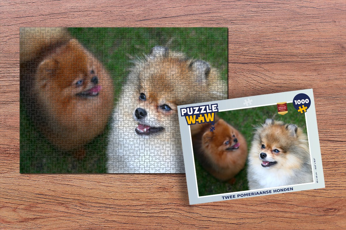 Puzzel Twee pomeriaanse honden - Legpuzzel - Puzzel 1000 stukjes ...
