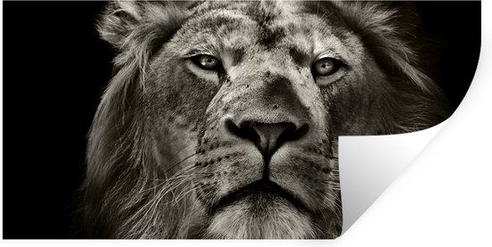 Muurstickers - Sticker Folie - Leeuw - Dieren - Portret - Wild - Zwart wit - 120x60 cm... | bol