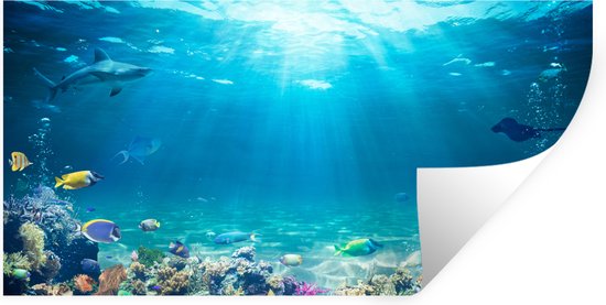 Muurstickers - Onderwaterwereld - Zeedieren - Water - Zee - Koraal ...