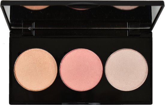 Check Please Blush Pallet | bol.com