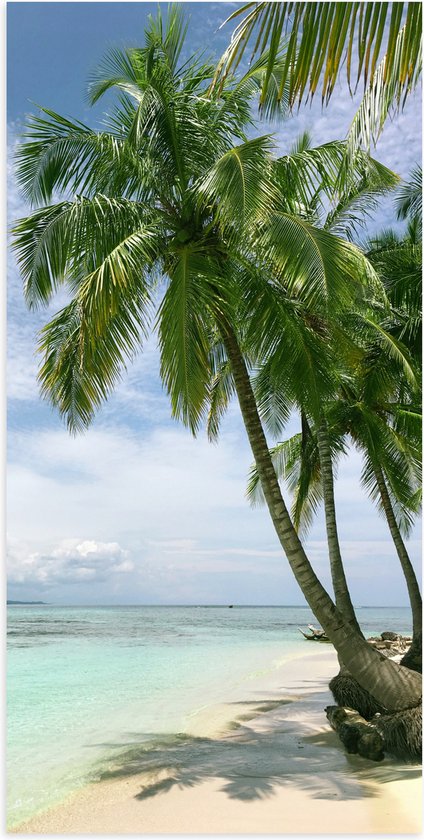 WallClassics - Poster (Mat) - Groene Palmbomen op Wit Strand - 50x100 ...