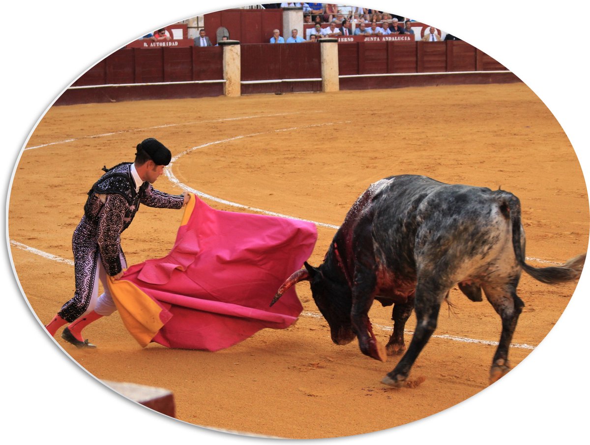 WallClassics - PVC Schuimplaat Ovaal - Matador tijdens Stierengevecht ...