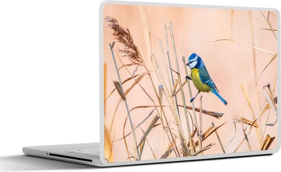 Laptop sticker - 15.6 inch - Vogel - Pimpelmees - Riet - 36x27,5cm ...
