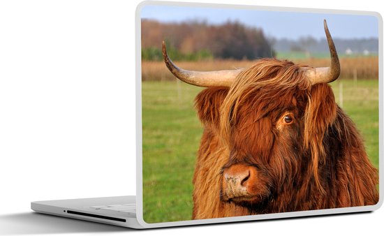Laptop sticker - 14 inch - Schotse Hooglander - Gras - Boom | bol.com