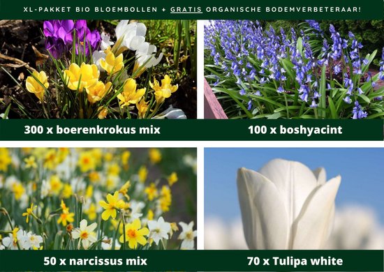 520 x Bloembollen MIX pakket ! - biologische bloembollen | bol.com
