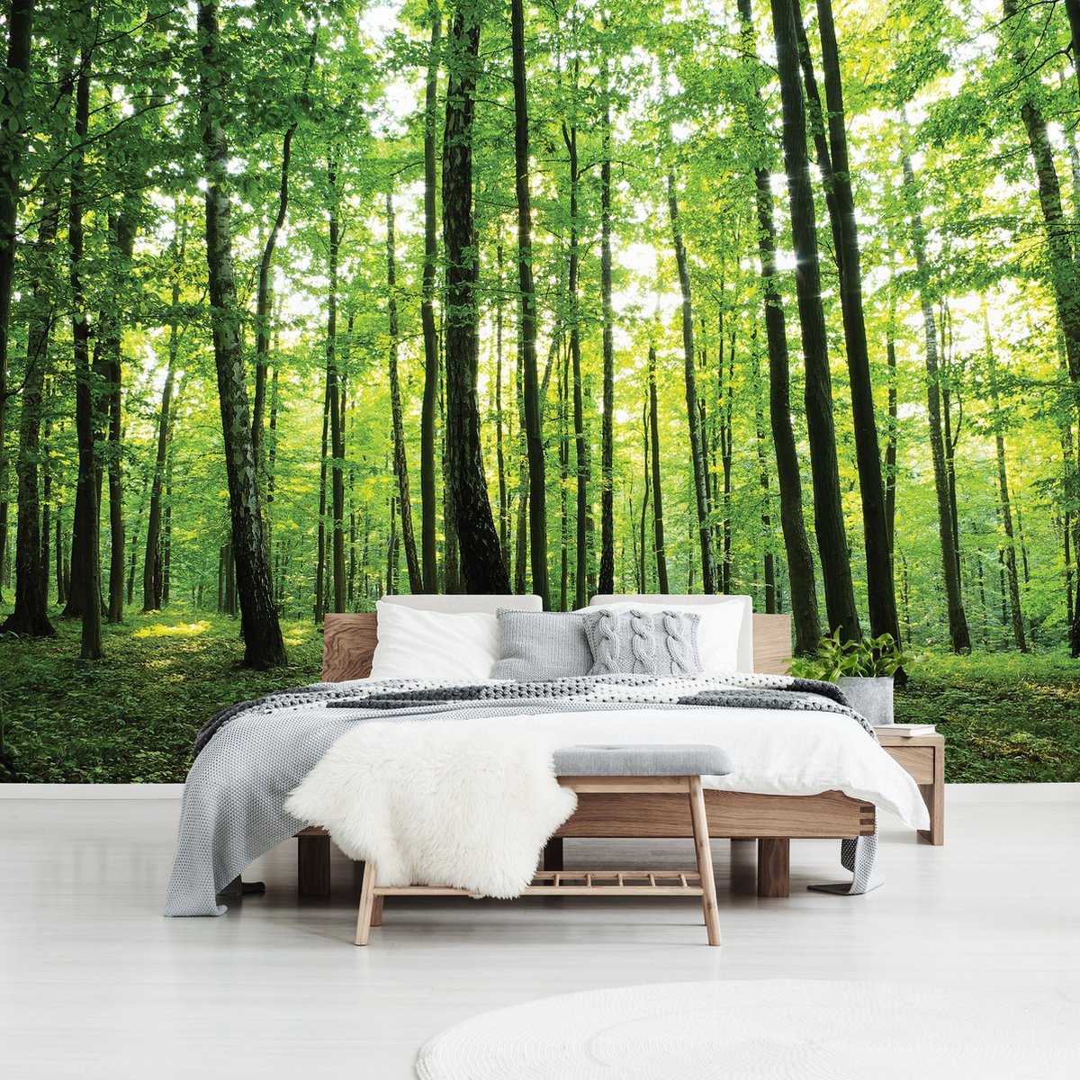 Fotobehangkoning - Fotobehang Bos in de Lente - Vliesbehang - Behang ...