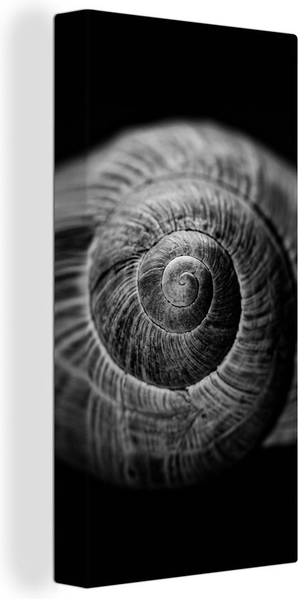 Canvas - Dieren - Slak - Zwart - Wit - Canvas doek - 40x80 cm ...