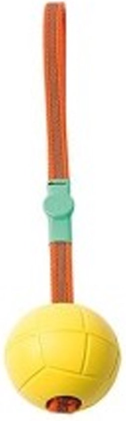 Bal met magneet - 65mm | bol.com