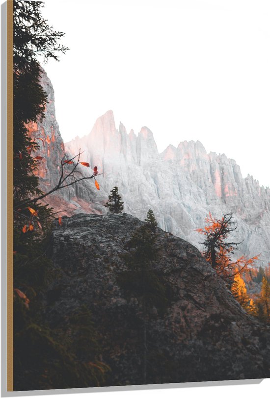 WallClassics - Hout - Bomen op Stijle Berg - 80x120 cm - 12 mm dik ...