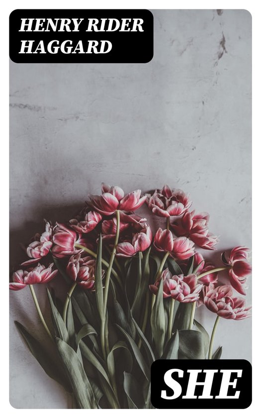 She (ebook), H. Rider Haggard | 8596547385431 | Boeken | bol