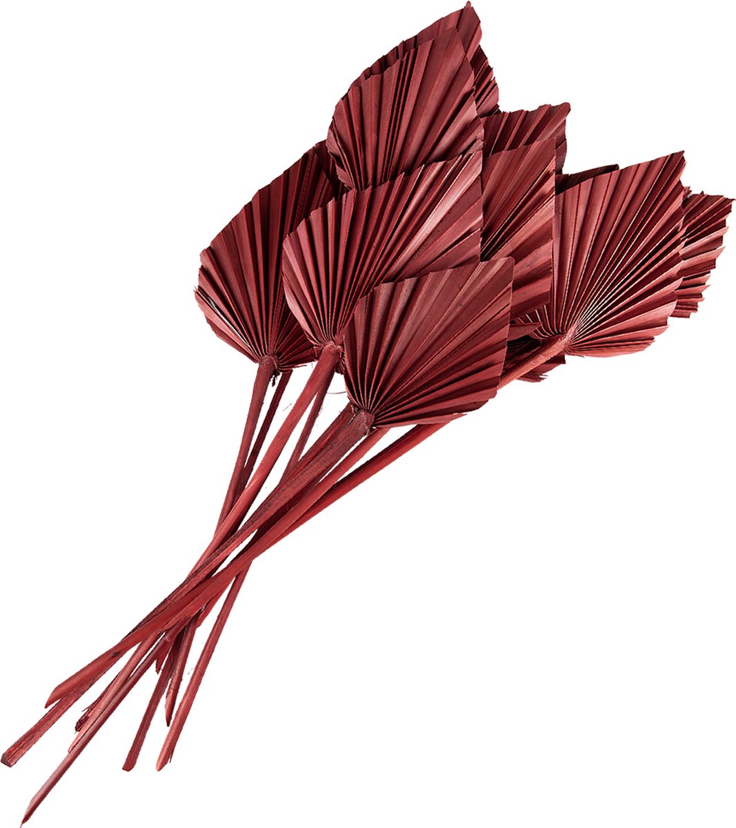 Clayre & Eef Fleurs Fleurs séchées 60 cm Rose Fleurs Fleurs séchées ...