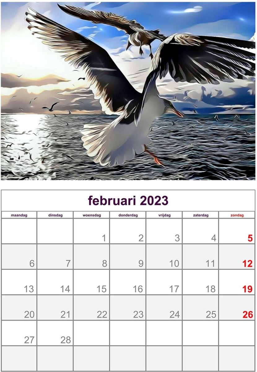 Sea Life Souvenirs - Maandkalender 2023 - kalender 2023 - het zeeleven ...
