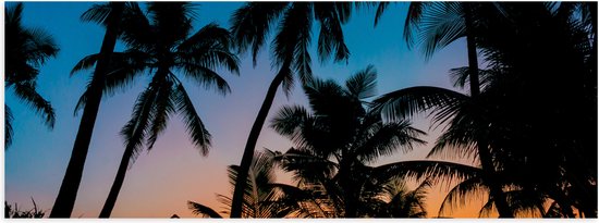 WallClassics - Poster (Mat) - Silhouette van Palmbomen op een Tropisch ...