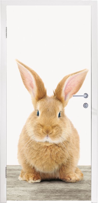 Deursticker kinderen - Wanddecoratie jongenskamer - Konijn - Baby ...