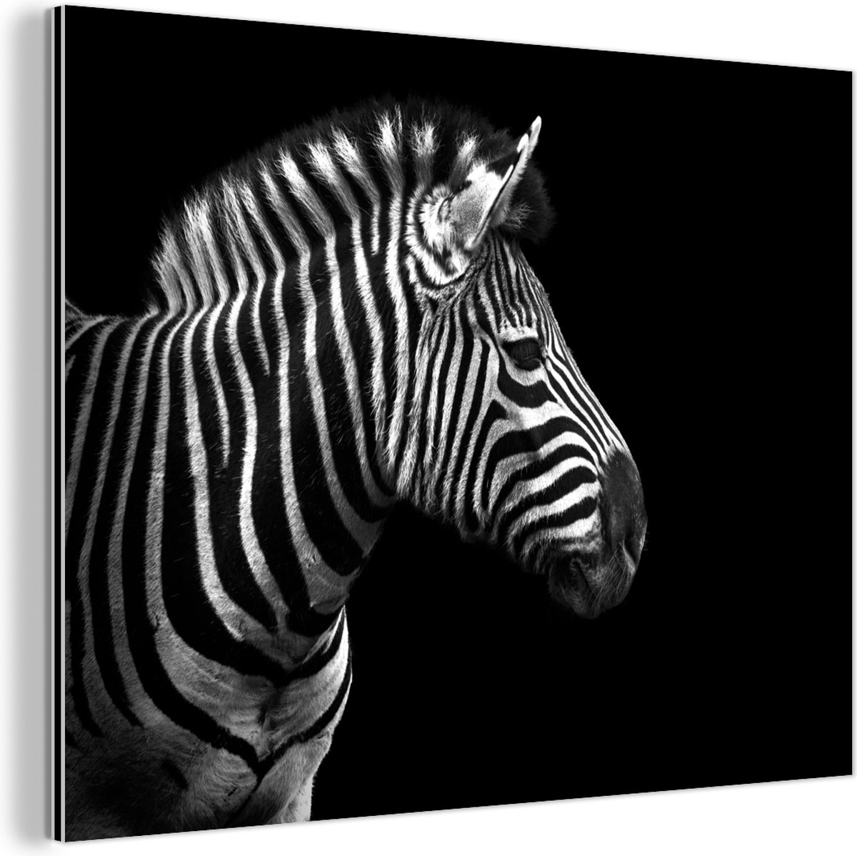 Décoration murale Métal - Peinture Aluminium Industrielle - Zebra ...