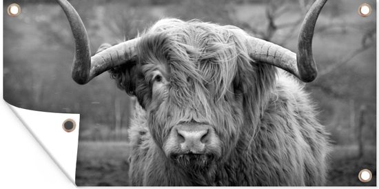 Wanddecoratie buiten Schotse Hooglander - Koeienkop - Landschap ...