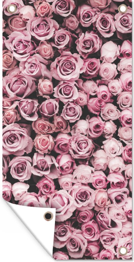 Décoration murale murale extérieure Fleurs - Roses - Nature - Rose ...