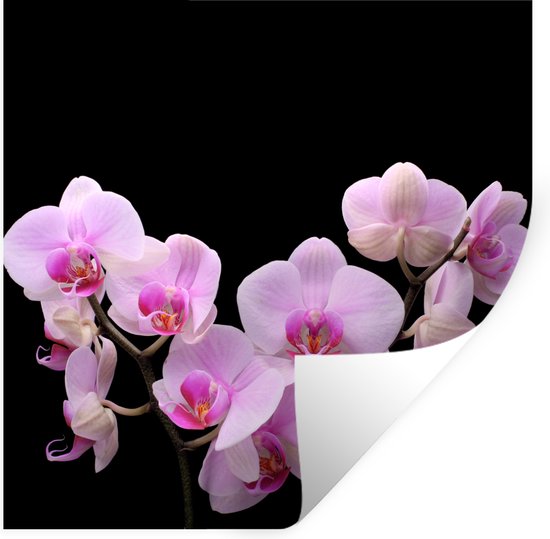 Muurstickers - Sticker Folie - Orchidee - Bloemen - Roze - Flora - 120x120 cm -... | bol