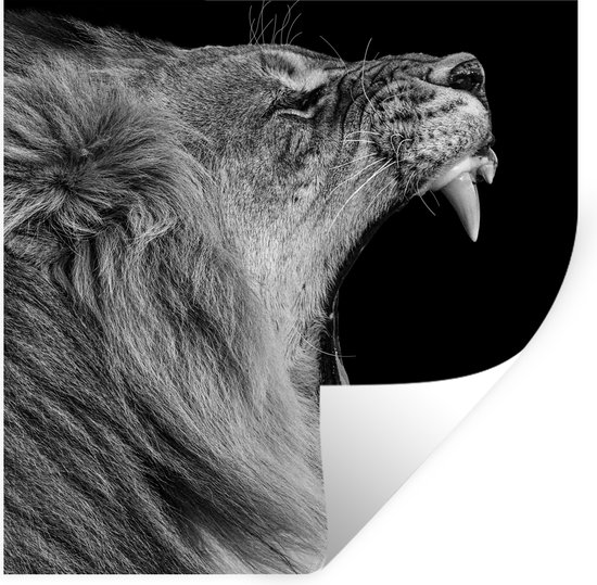 Muurstickers - Sticker Folie - Dieren - Leeuw - Zwart - Wit - Portret - 50x50 cm -... | bol