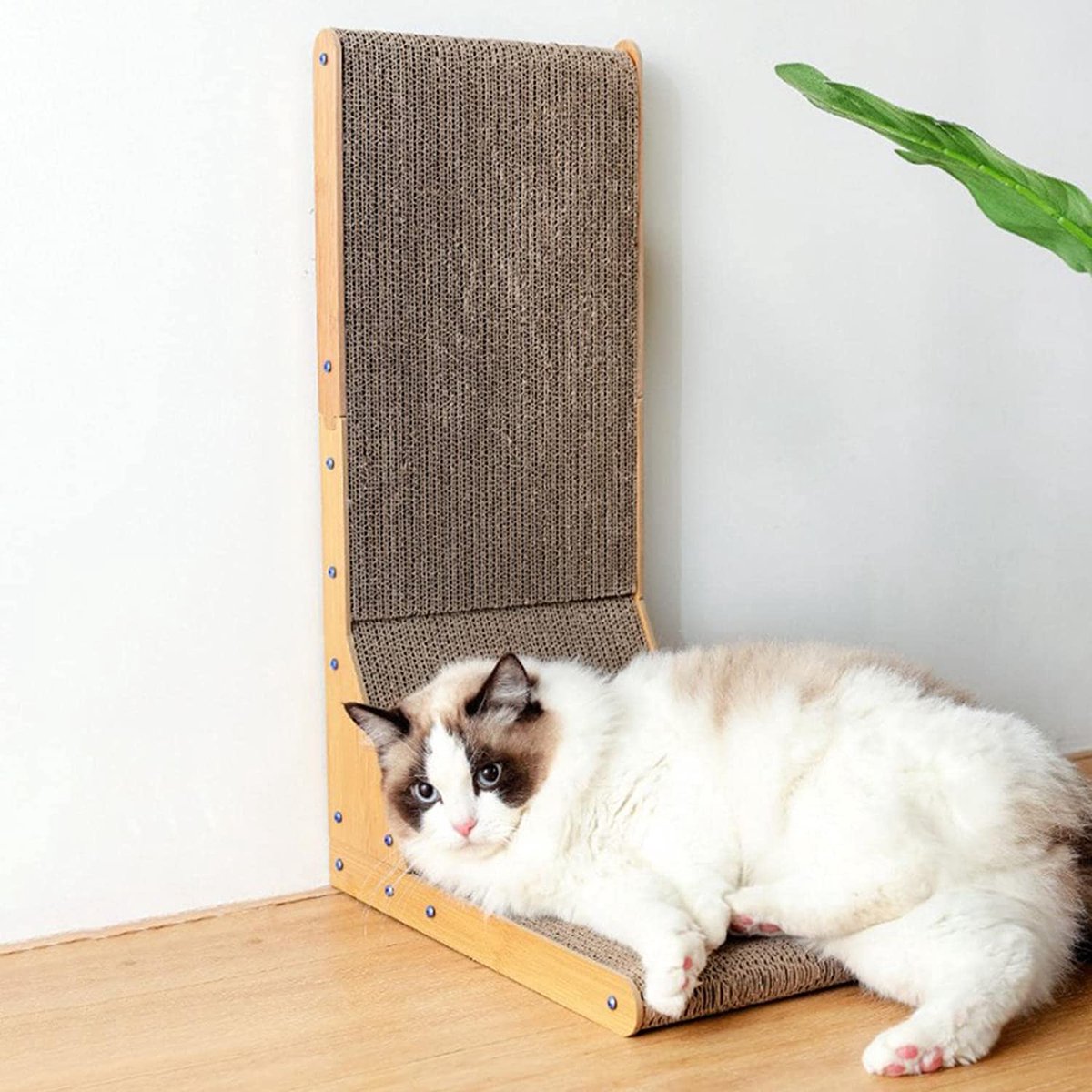 Verticale Muur Kat Krabplank Large Grote Slijtvaste Kat Krassen ...