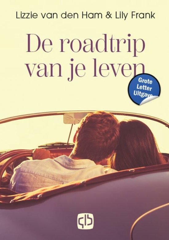 De roadtrip van je leven, Lizzie van den Ham | 9789036440141 | Boeken | bol