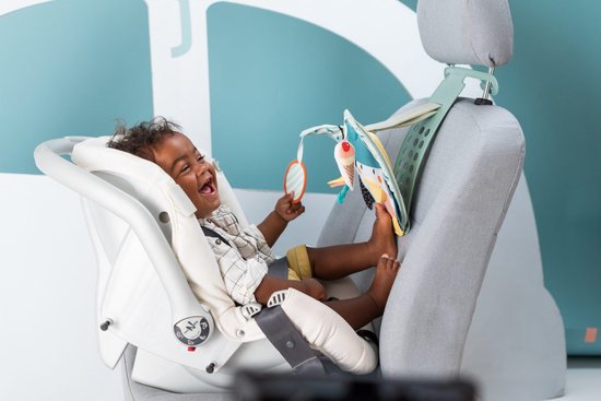 Taf Toys - Penguin Play & Kick Car Toy | Games | bol.com