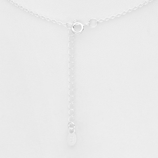 EAR IT UP - Ketting - Zwaluw - Vogel - 925 sterling zilver - 42 tot 45 ...