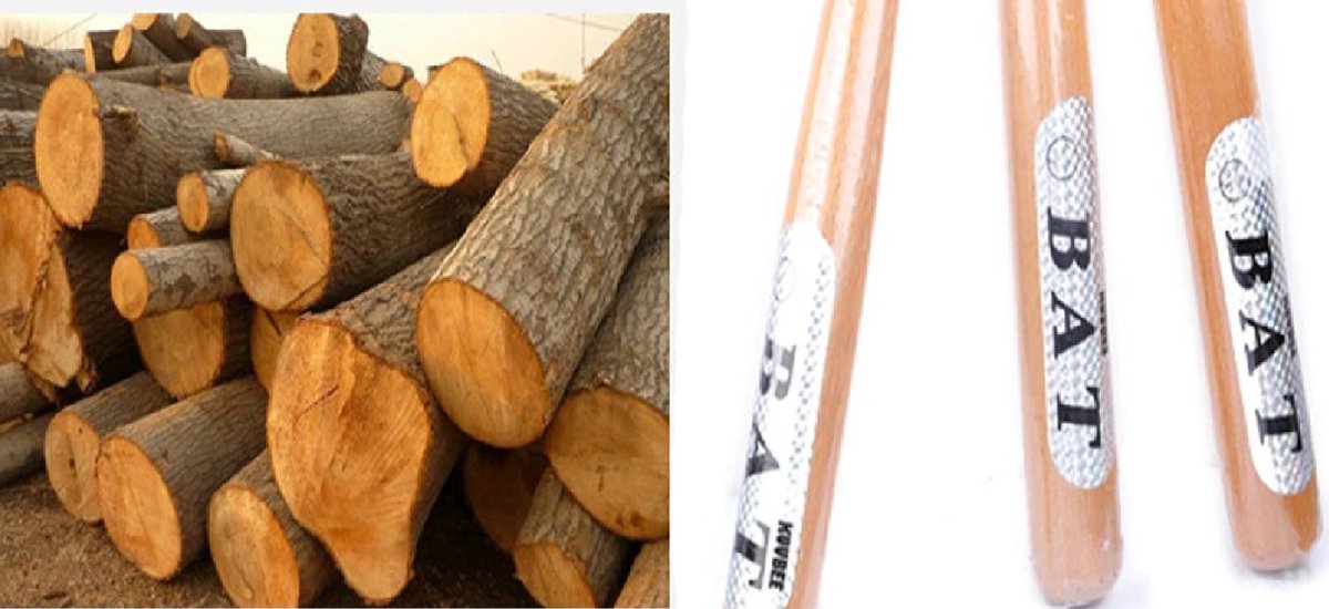 honkbal knuppel - baseball bat - 83 cm | bol.com