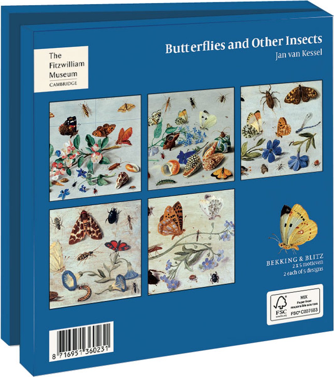 Bekking & Blitz - Wenskaartenmapje - Set wenskaarten - Kunstkaarten - Museumkaarten -... | bol.com