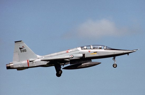 Kinetic Modelbouwpakket Militaire voertuigen - 48117 NF-5B/F-5B/SF-5B ...