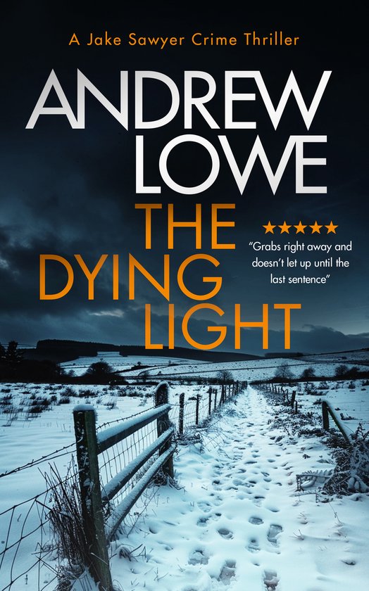 Jake Sawyer Crime Thrillers-The Dying Light, Andrew Lowe ...