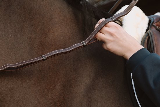 Kentucky - Teugels 1/2’’ met leren handgreep WO coll, Full/bruin | bol