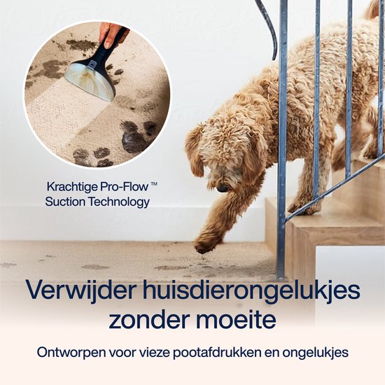 Samako Tapijtreiniger PRO 1800W – Stoomreiniger en Vlekkenreiniger ...