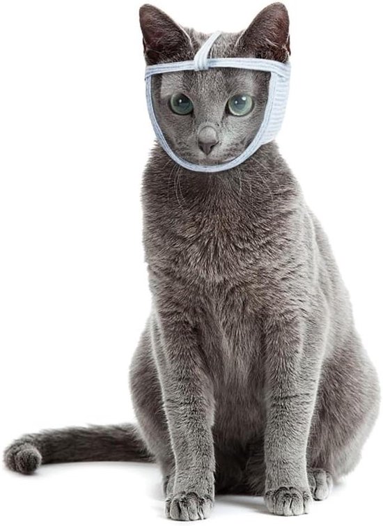 Breathable Cat Mouth Cover with Transparent PVC Face Protection ...