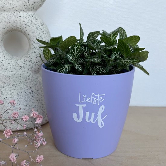 2 kleine bloempotjes juf - plastic - liefste juf - juf kadootje ...