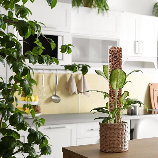 Mosstok voor Klimplanten - 6 Stuks - 61 cm - Buigzaam | bol