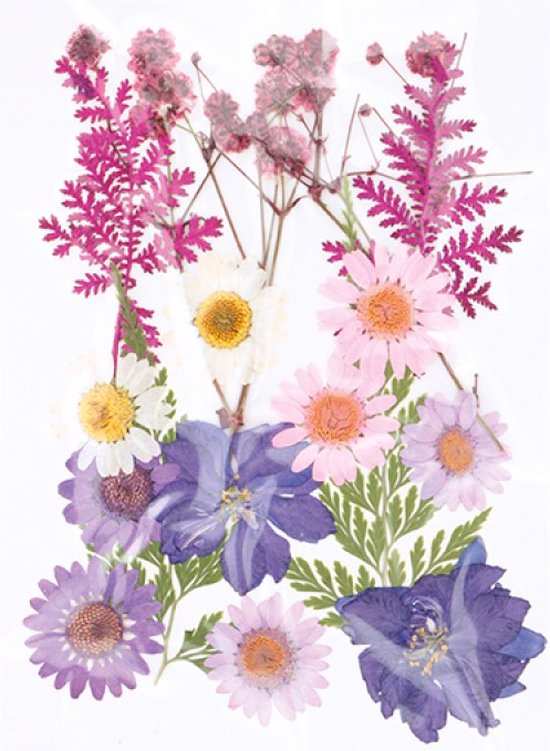 Geperste droogbloemen - Artemio | bol